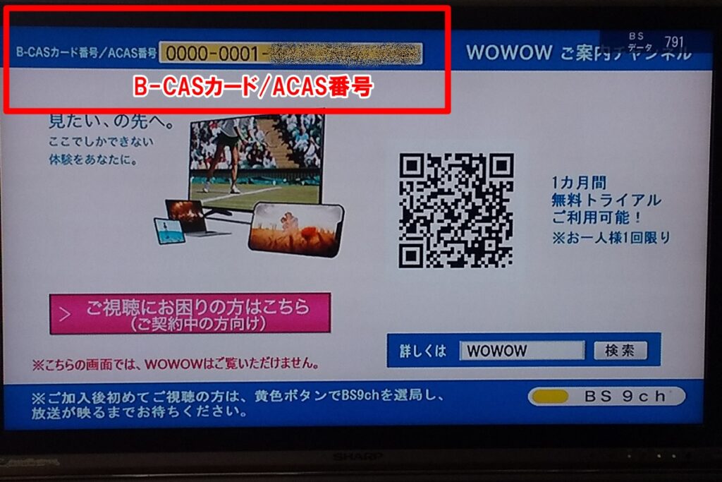 WOWOWの番組をスマホで見る方法【BSアンテナやテレビは不要】 | おぎなうブログ